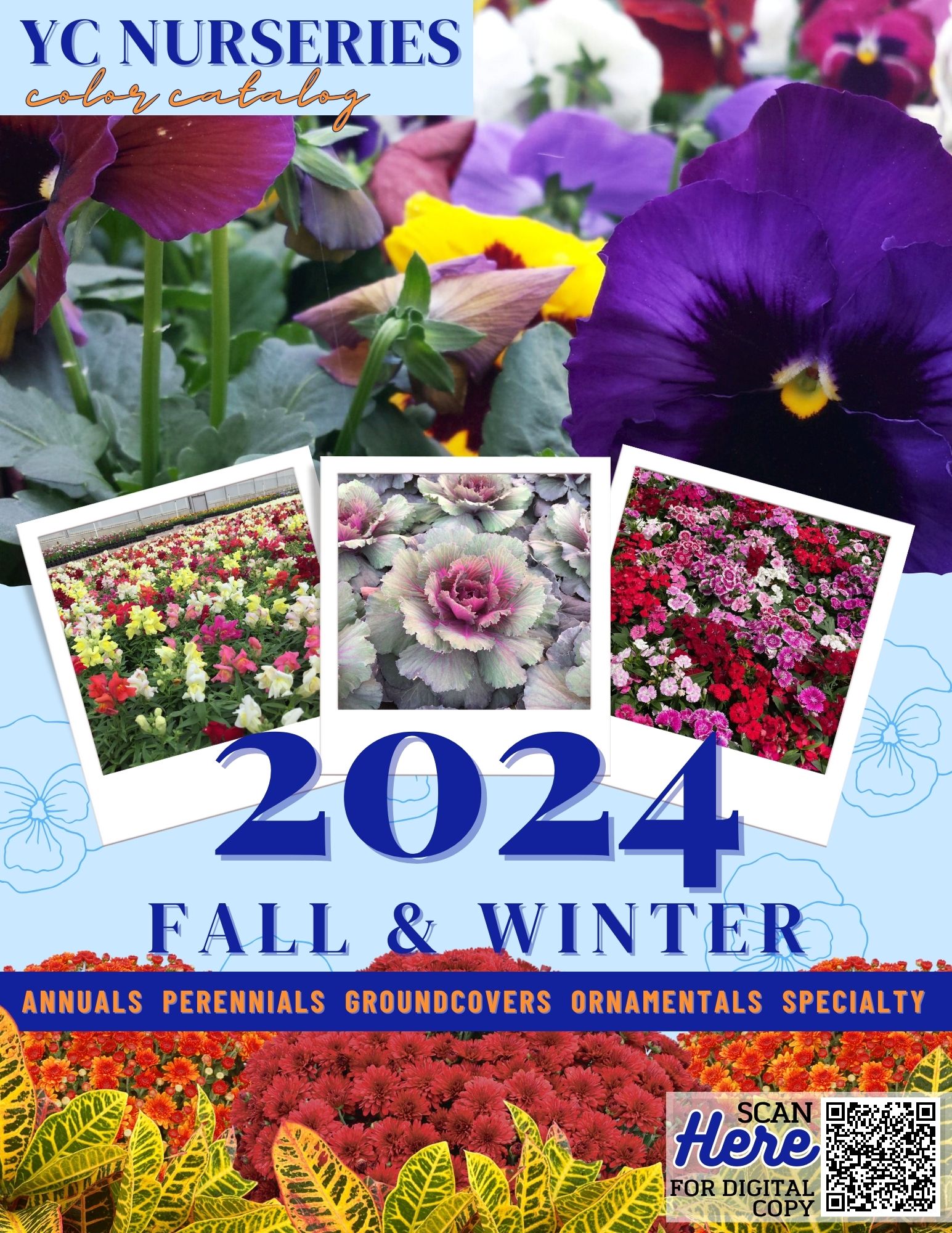 Current Catalog – YC Nursery